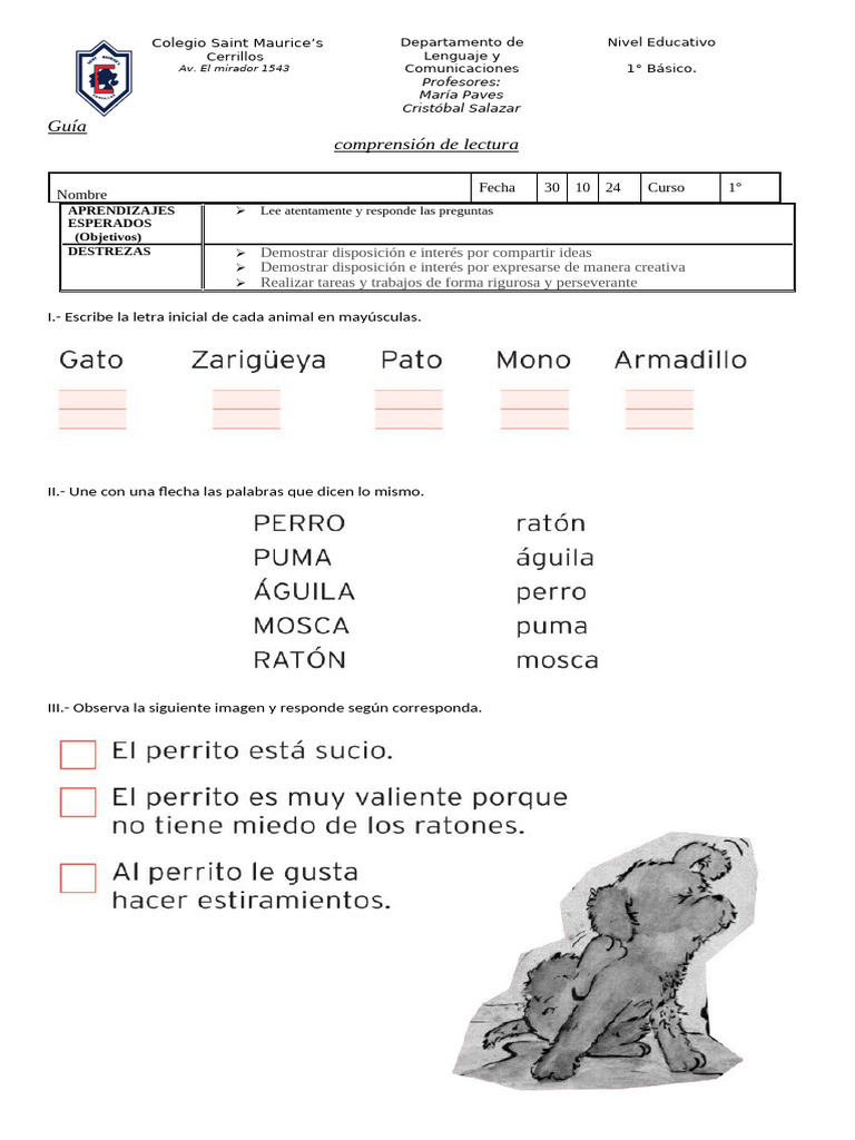 Guia de Comprension de Lectura | PDF