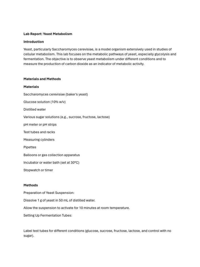Yeast Metabolism Lab Report | PDF | Yeast | Fructose