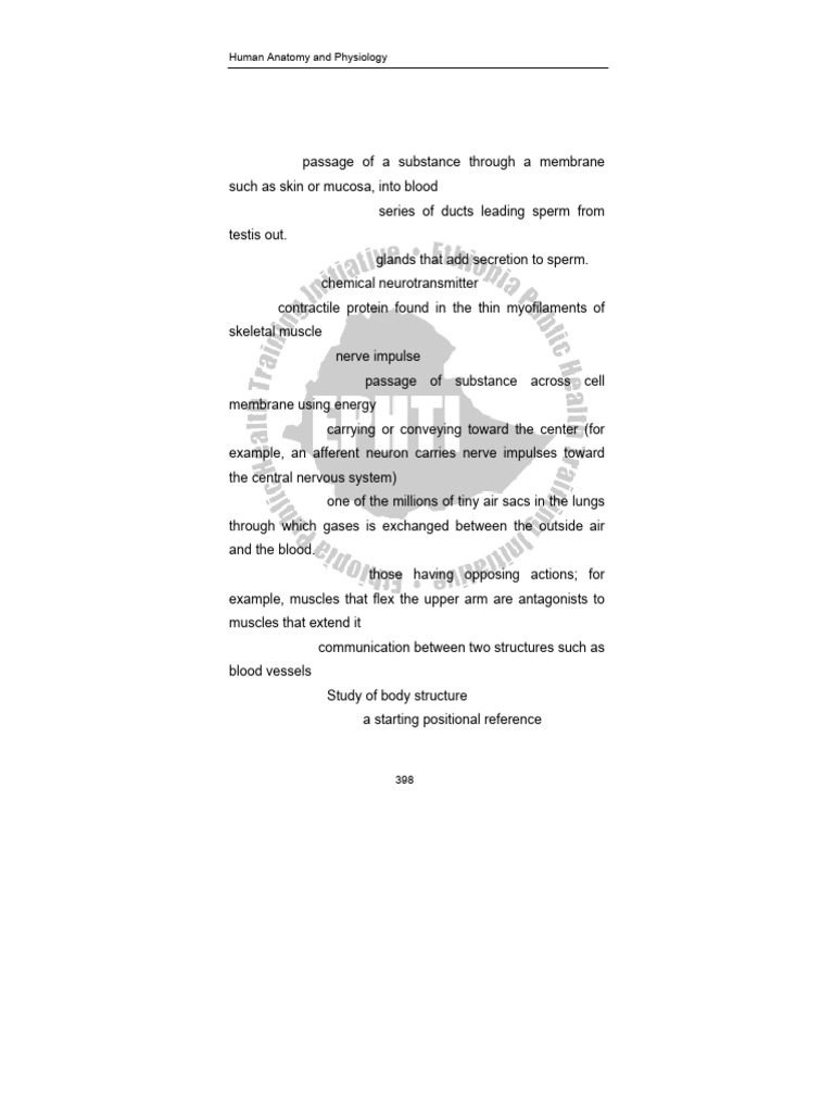 GLOSSARY - Anatomy and Physiology - 1 | PDF | Human Body | Muscle