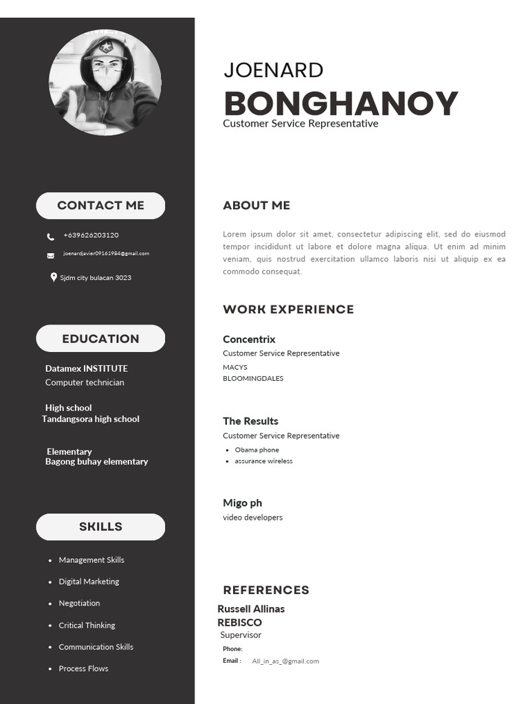 Professional CV Resume PDF | PDF
