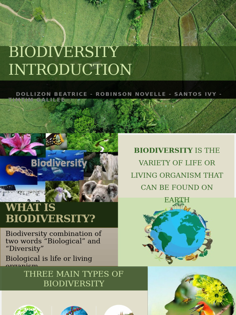 Biodiversity Overview for Investors | PDF | Biodiversity | Species