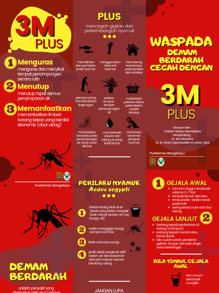 Leaflet Penyuluhan DBD - Chelian Wahyu Ramadhani - 30101800040 | PDF