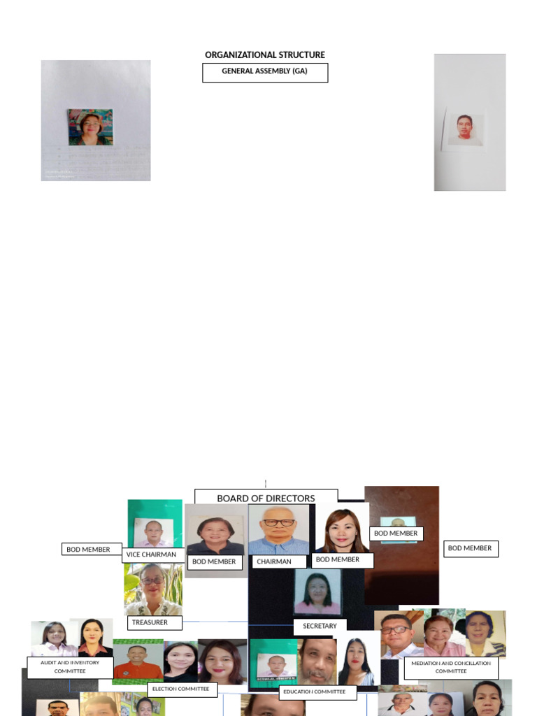 Organizational Structure | PDF