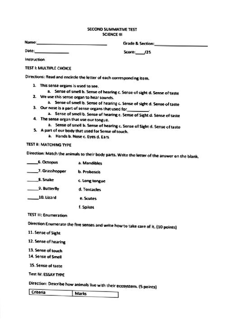 Test Questionnaire For Grade III Science Sample | PDF