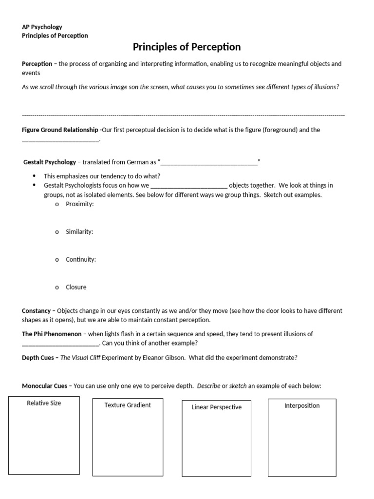 Principles of Perception in AP Psychology | PDF | Perception | Illusion
