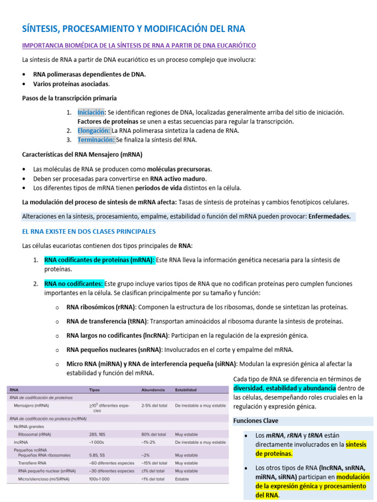 Sintesis de Rna | PDF | Rna | Rna Splicing