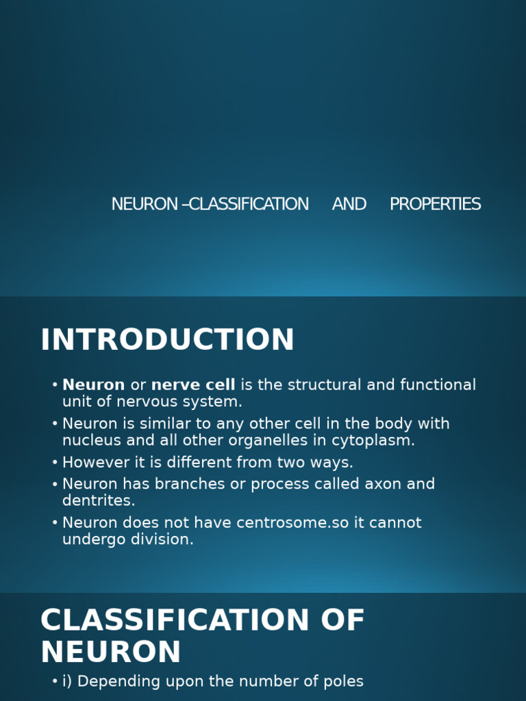 neurons. | PDF | Neuron | Axon