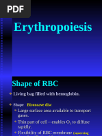 Red Blood Cell Adaptations Explained | PDF