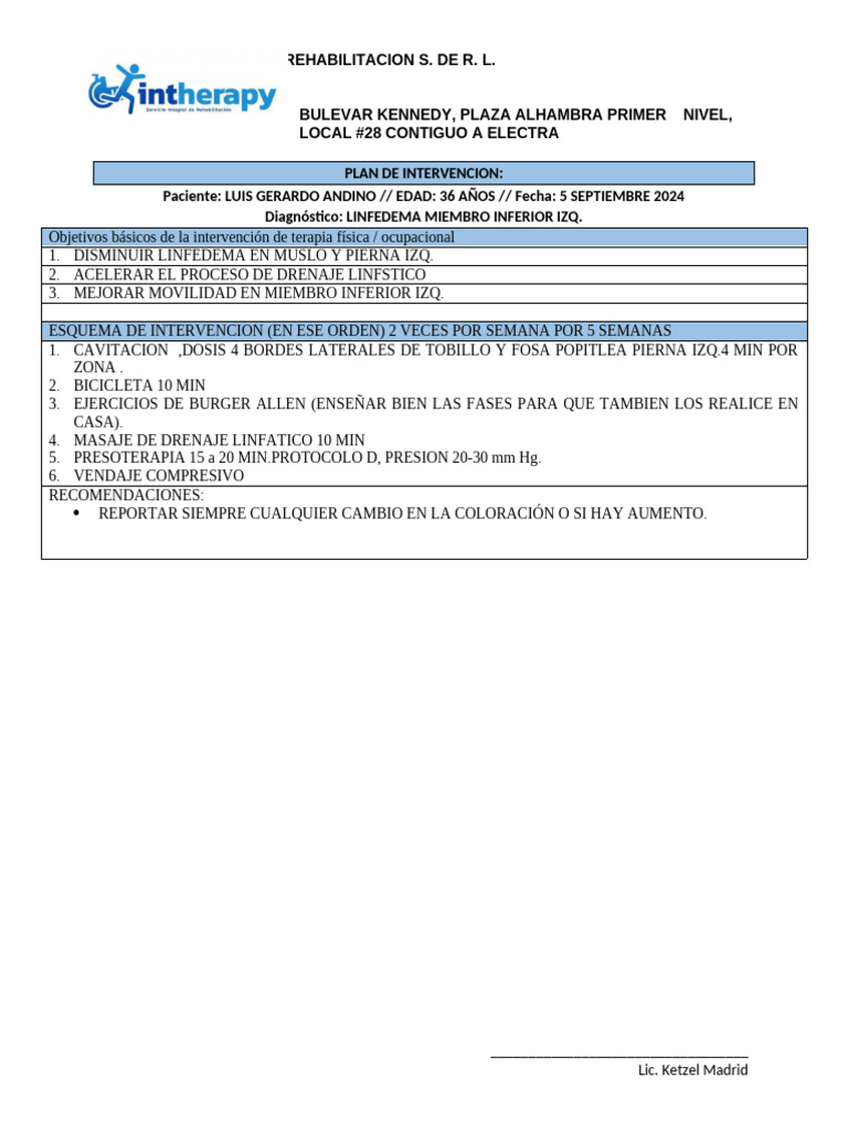 Plan de Tratamiento Luis Andino | PDF | Relaciones personales, crianza y desarrollo personal