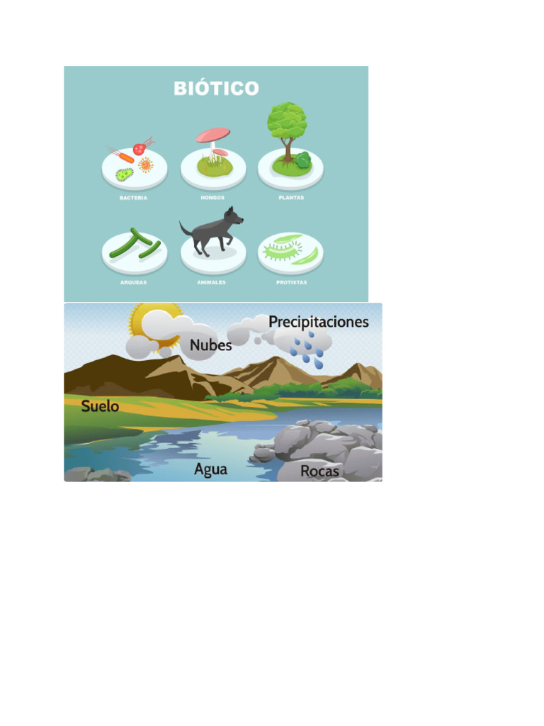 Biotico y Abiótico | PDF