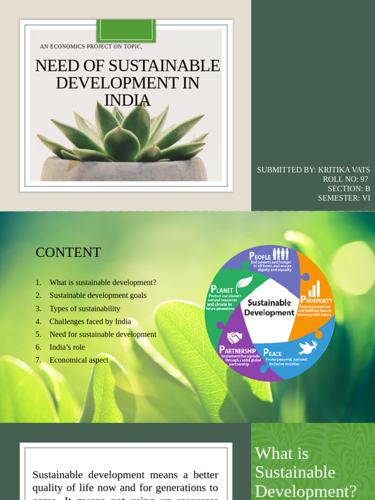 Need For Sustainable Dev. in India | PDF | Sustainability | Sustainable Development