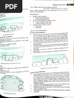 Canine Classification of Malocclusion | PDF | Social Science | Young Adult
