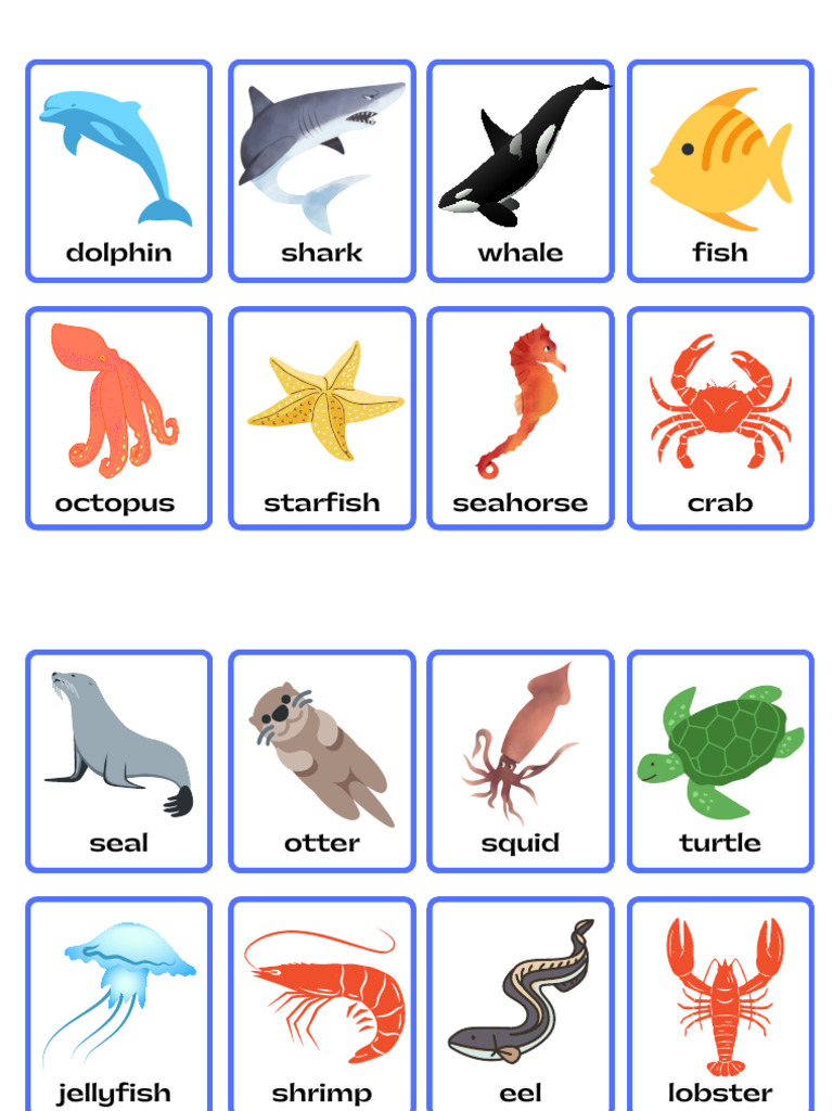 Sea Animals Flashcards | PDF