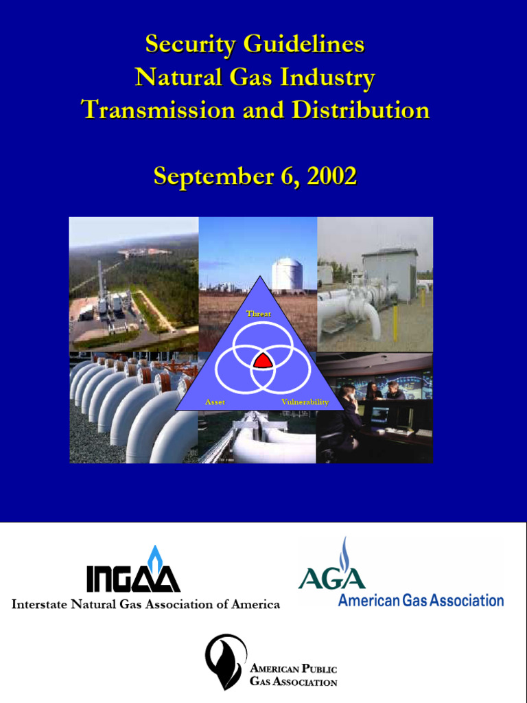 Natural Gas Security Guidelines Overview | PDF | Risk | Risk Assessment