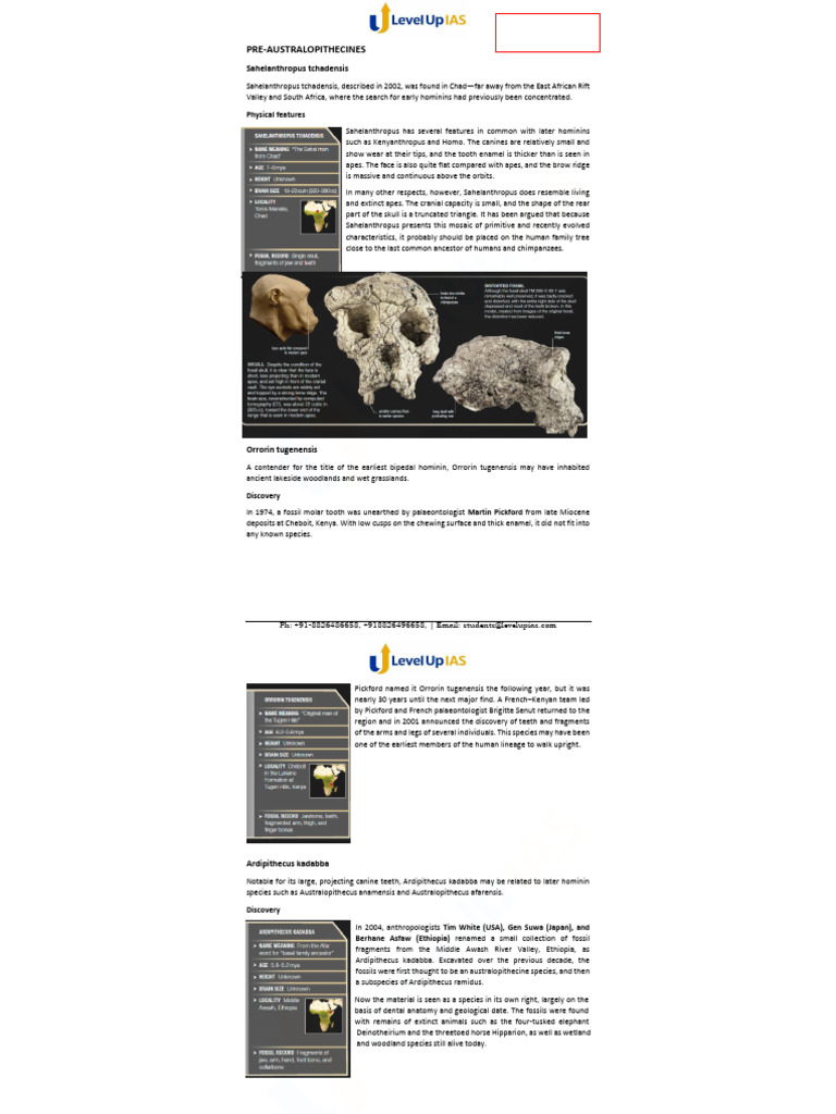 40 Anthropology Foundation 1 0 Handout 40 Australopithecus | PDF | Paleoanthropology | Hominini