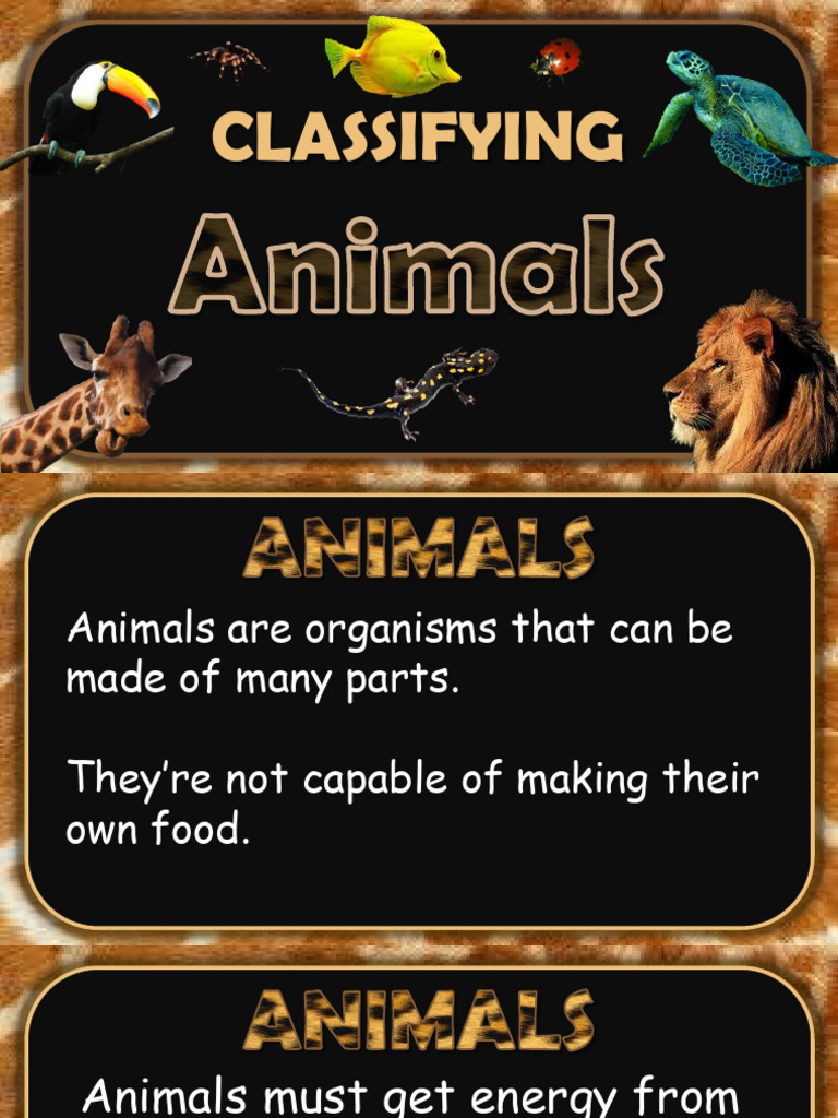 1 Classifying Animals Powerpoint | PDF | Science & Mathematics
