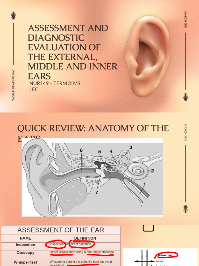 Assessment and Diagnostic Evaluation of The External Middle and Inner ...