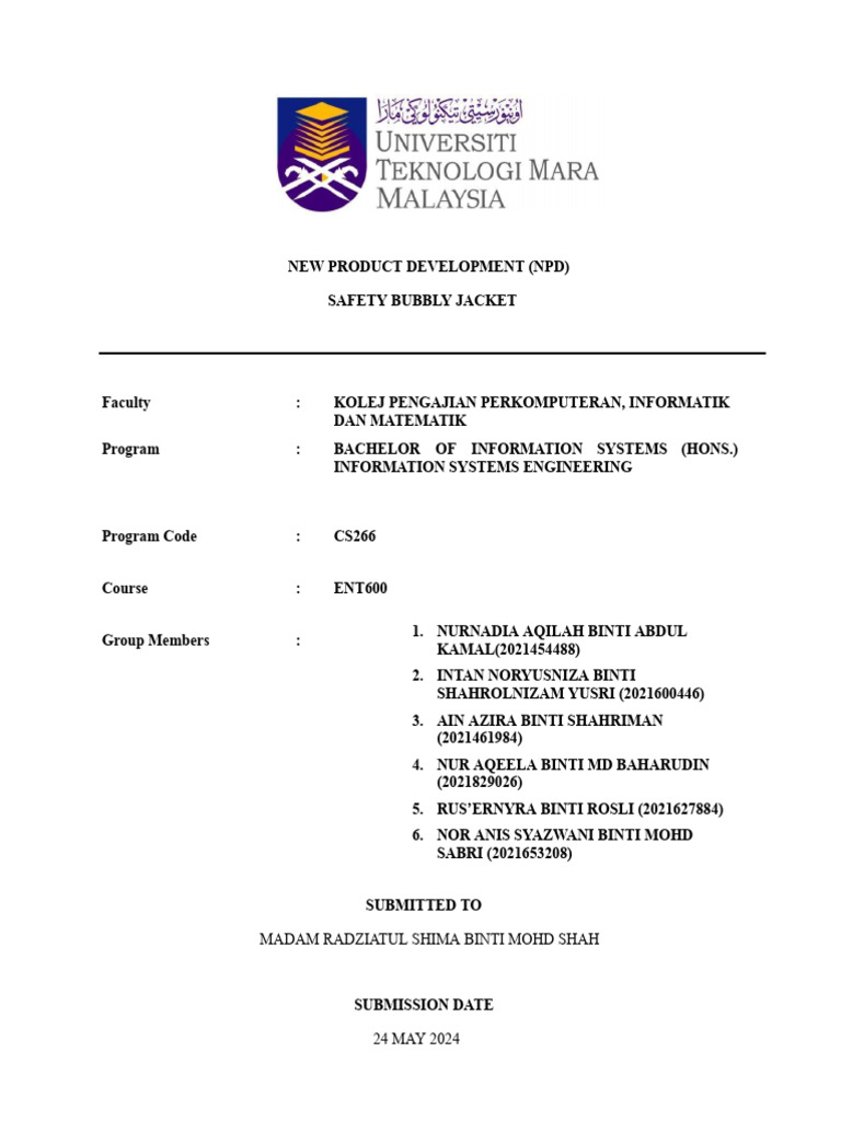 Ent600 - NPD Report - Safety Bubbly Jacket | PDF | Airbag | Target Audience