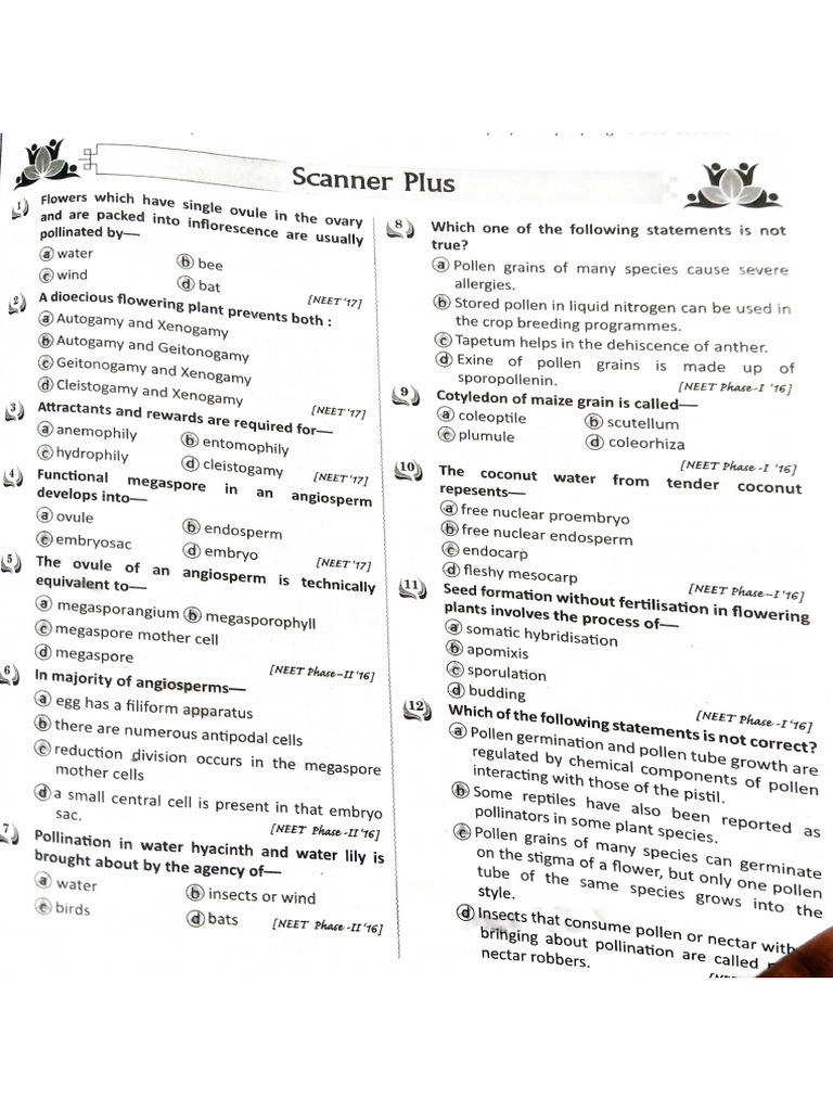 Plant Reproduction | PDF
