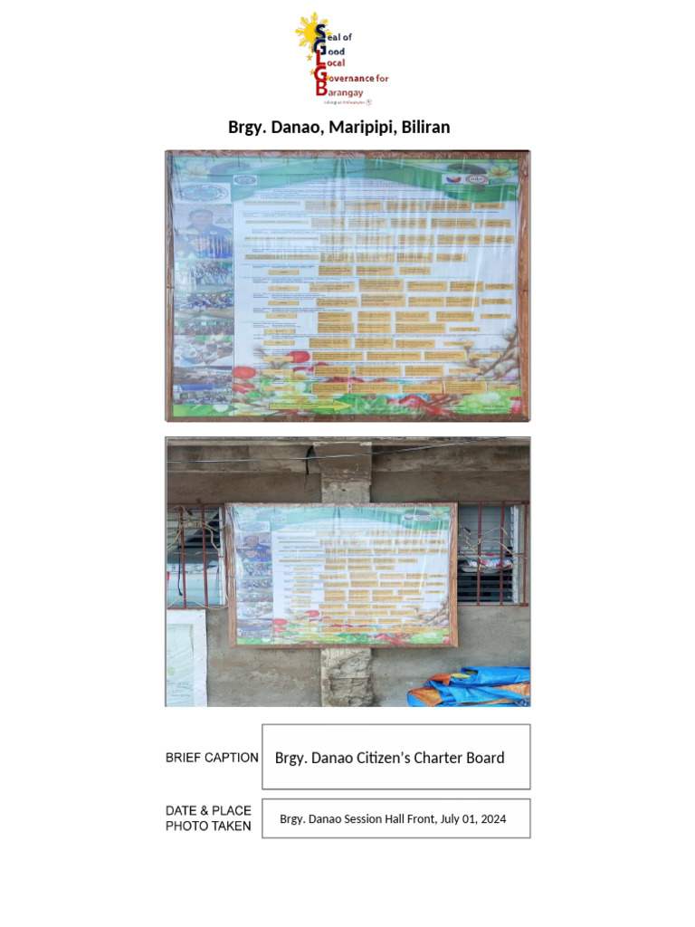 SGLGB TEMPLATE - Photo Documentation CitCha | PDF