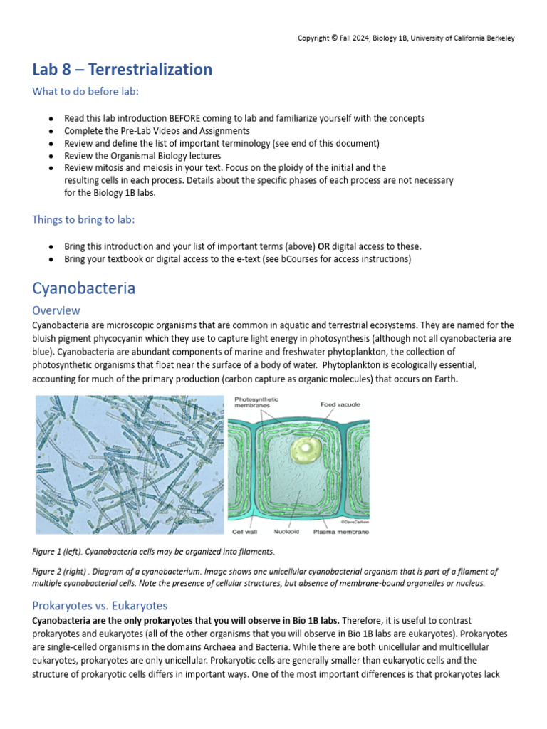 L8 Intro Terrestrialization F24 | PDF | Cyanobacteria | Sexual Reproduction