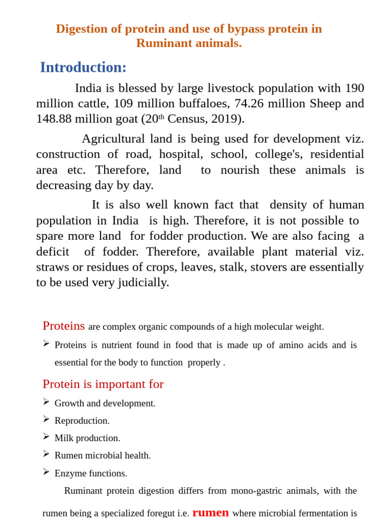 Ruminant Bypass Protein Benefits | PDF | Digestion | Ruminant