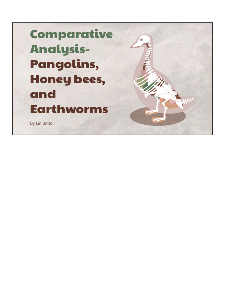 Comparative Analysis - Pangolins, Honey Bees, and Earthworms | PDF ...