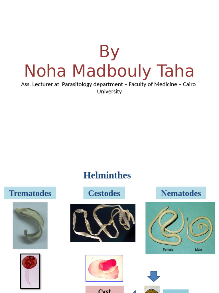 Helminths Revision | PDF | Nematode | Liver