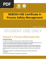 1.CCPS RBPS | PDF | Safety