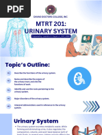 Urinary System Medical Terminology Guide | PDF | Kidney | Urinary System