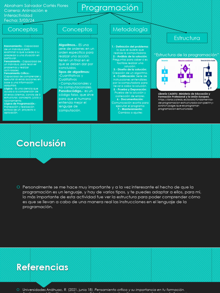 A1 Programación | PDF | Programación de computadoras | Algoritmos