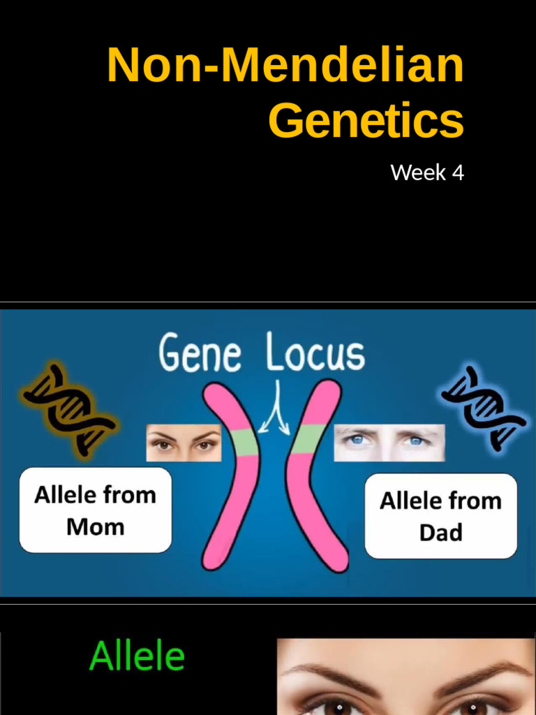 Non-Mendelian Genetics Overview | PDF | Science & Mathematics