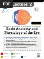 Grade 12 Life Science The Eye | PDF | Eye | Myopia