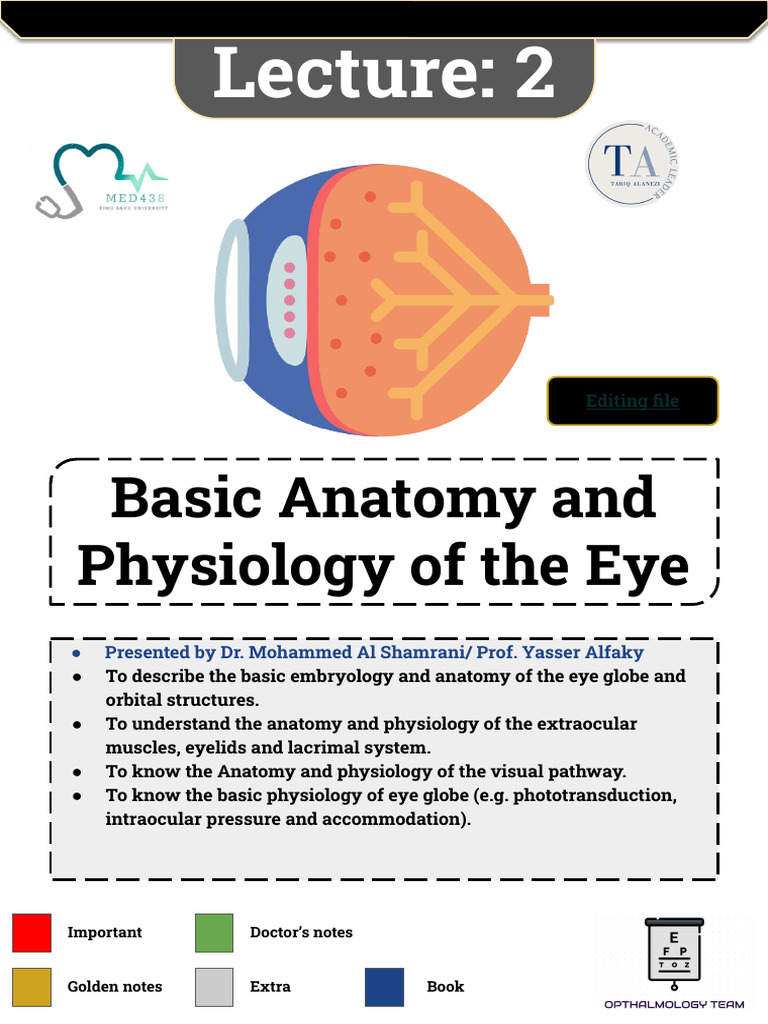 L2 - Basic Anatomy and Physiology of The Eye | PDF | Retina | Human Anatomy