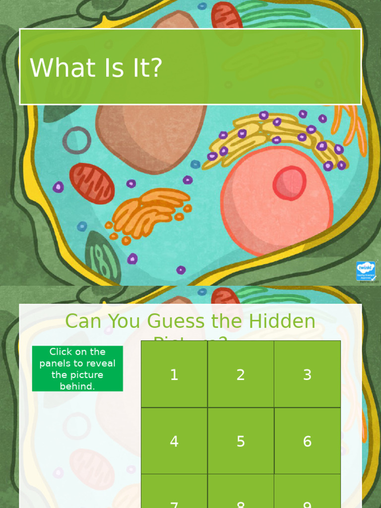 Lesson 4 Cells and Organelles | PDF | Endoplasmic Reticulum | Cell ...