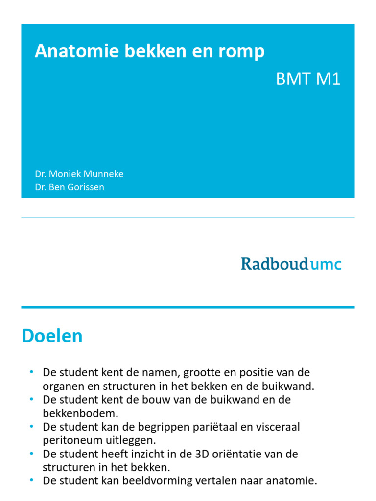 BMT M1 - Anatomie Bekken en Romp | PDF