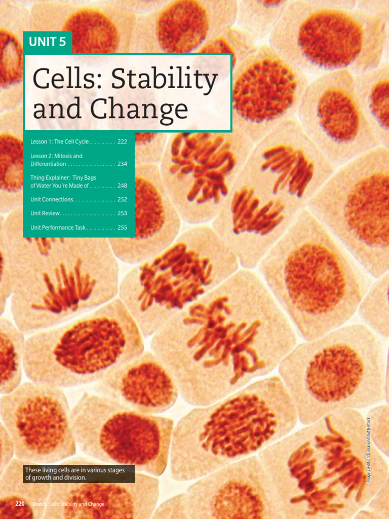 Bio Pse U5 | PDF | Cell Signaling | Cancer