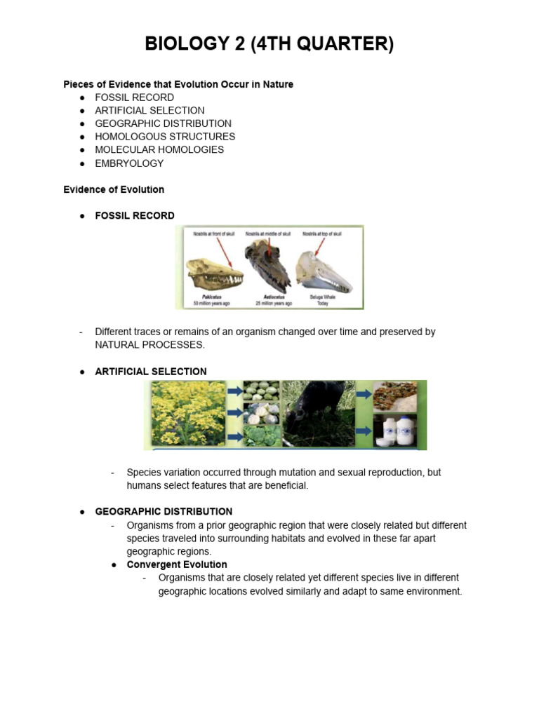 Bio 2 (4TH Quarter) | PDF | Taxonomy (Biology) | Homology (Biology)