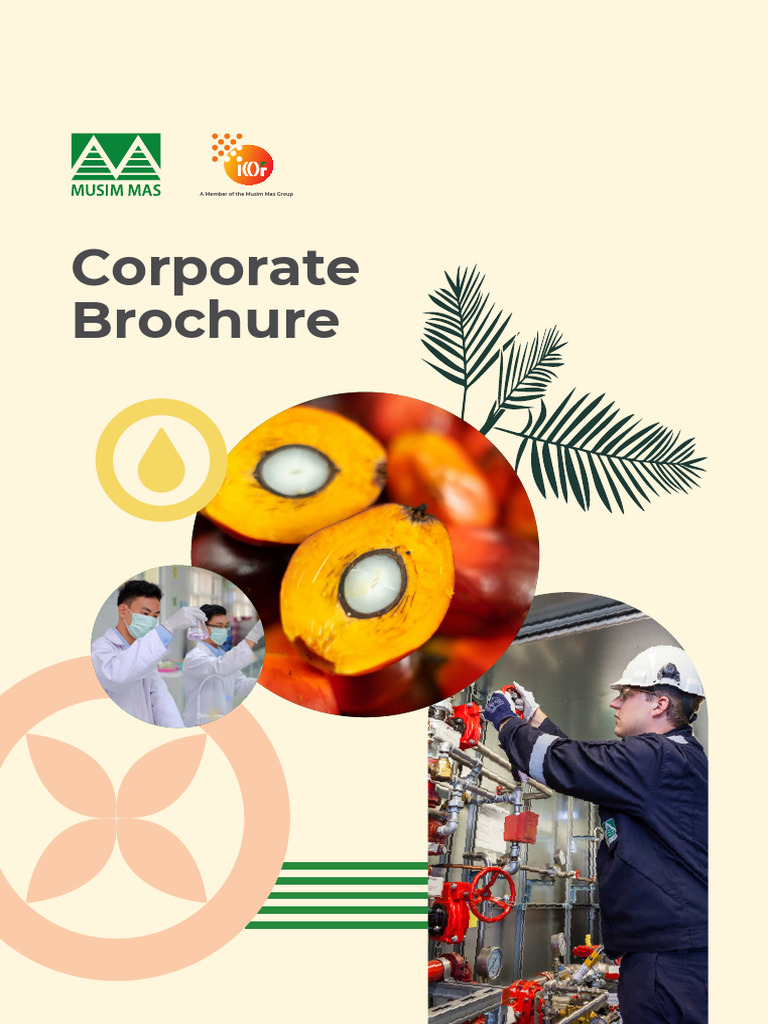 Corporate Brochure | PDF | Palm Oil | Oils