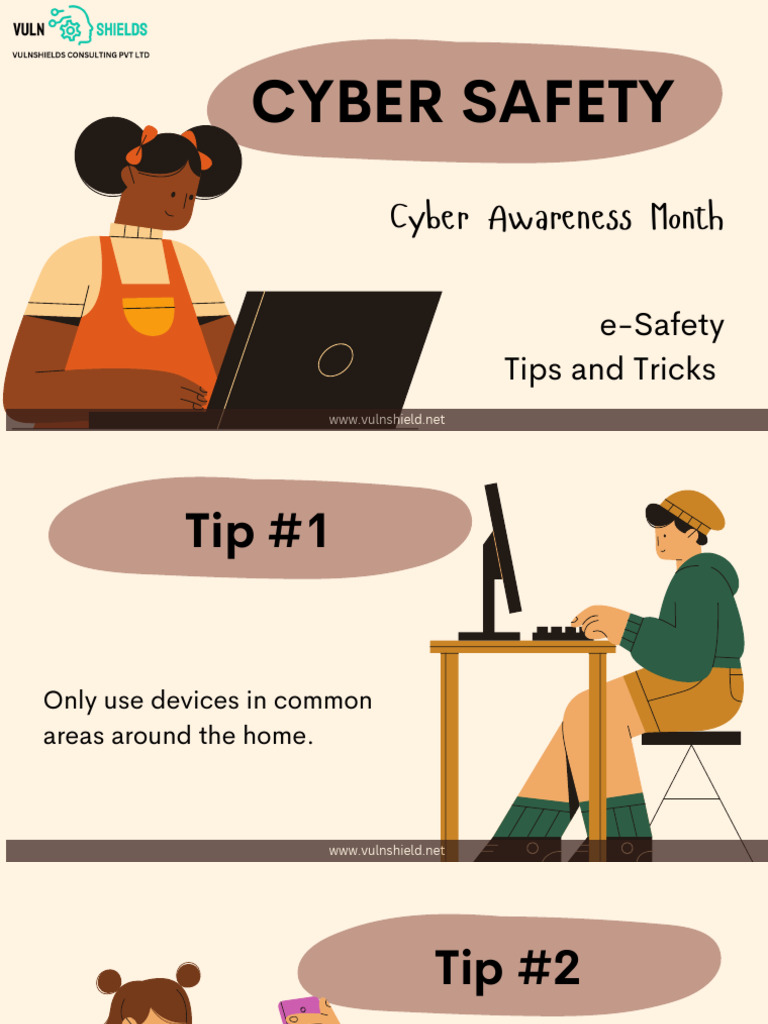 Vulnshields Cyber Safety Presentation | PDF