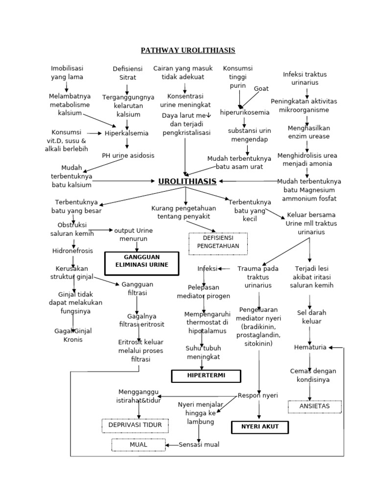 PATHWAY UROLITIASIS Docx | PDF
