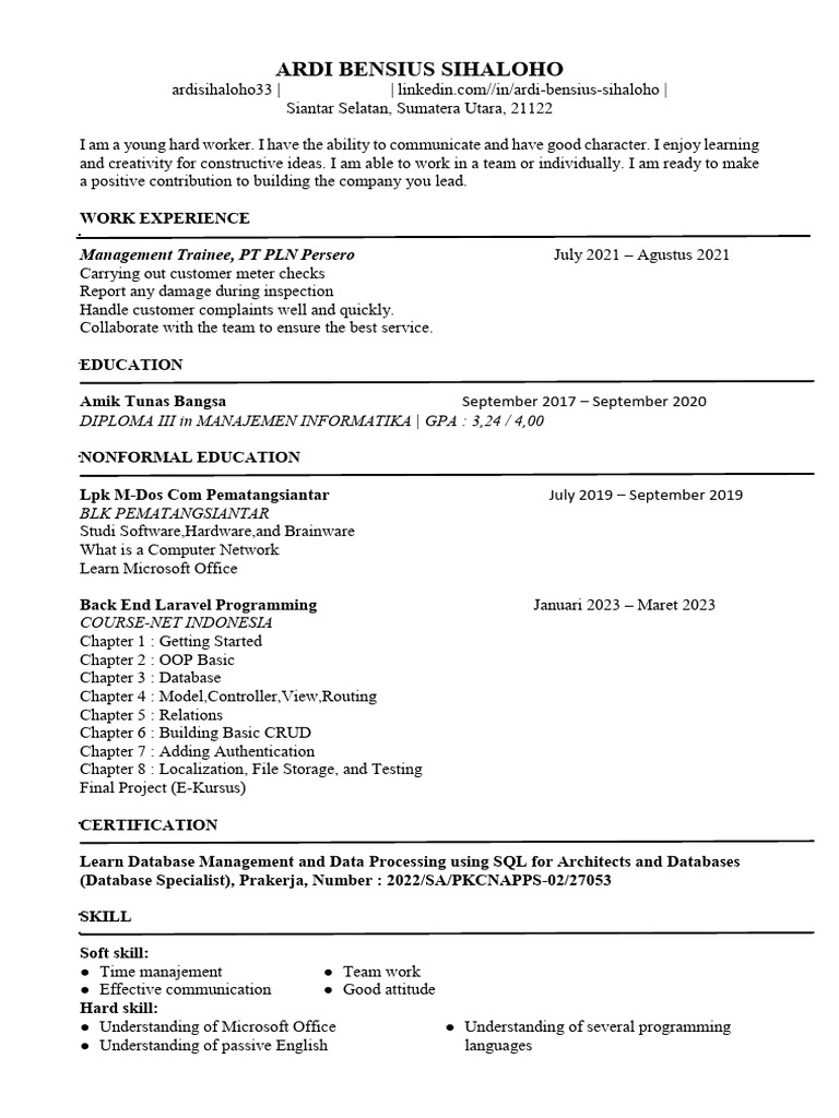 Ardi Bensius Sihaloho Junior Staff Resume | PDF