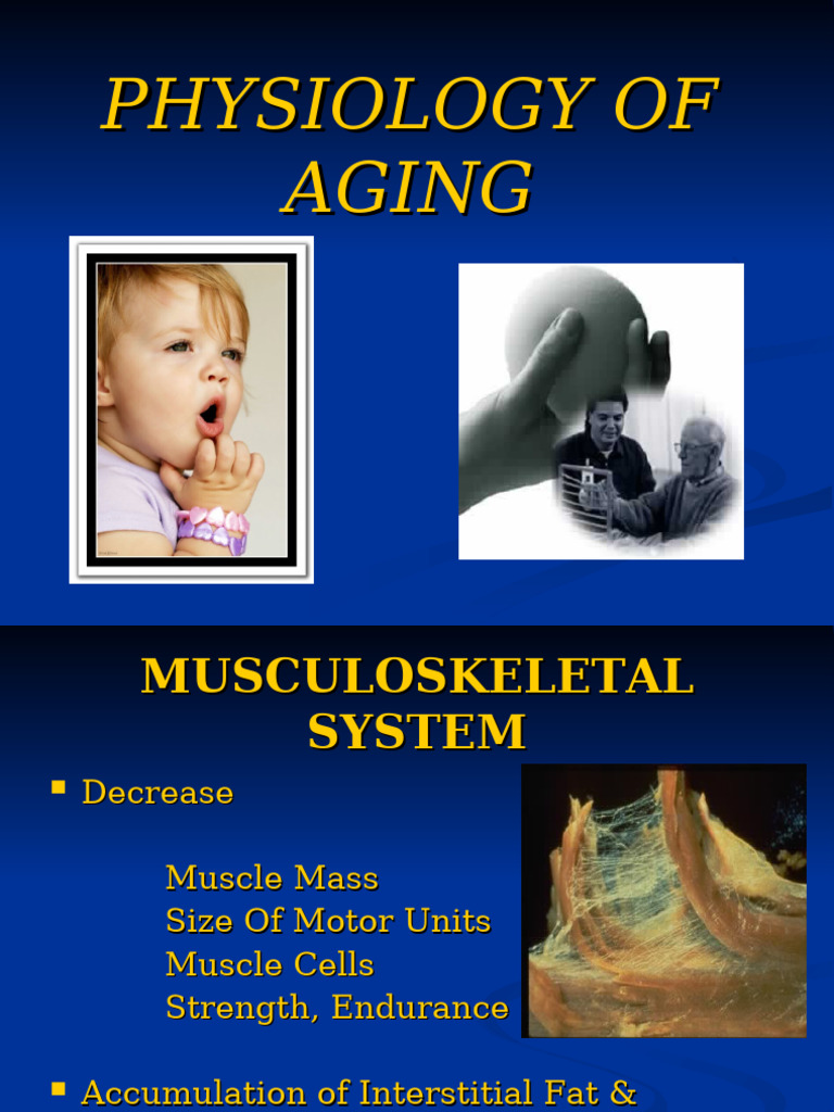 Aging and Musculoskeletal Health | PDF | Human Musculoskeletal System ...
