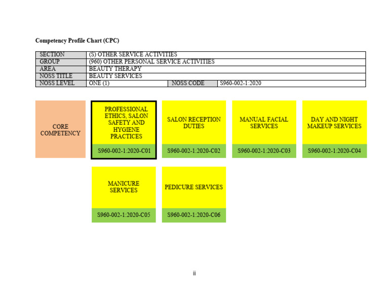 Competency Profile Chart-1 | PDF