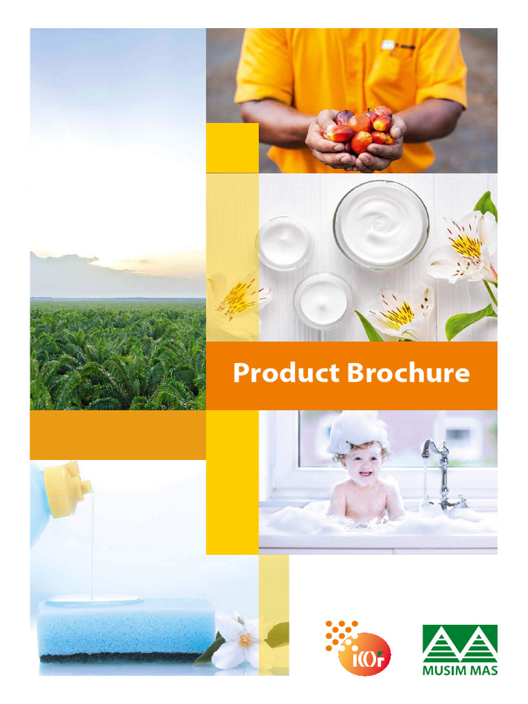 ICOF Europe Product - Brochure - 2019 | PDF | Palm Oil | Organic Compounds