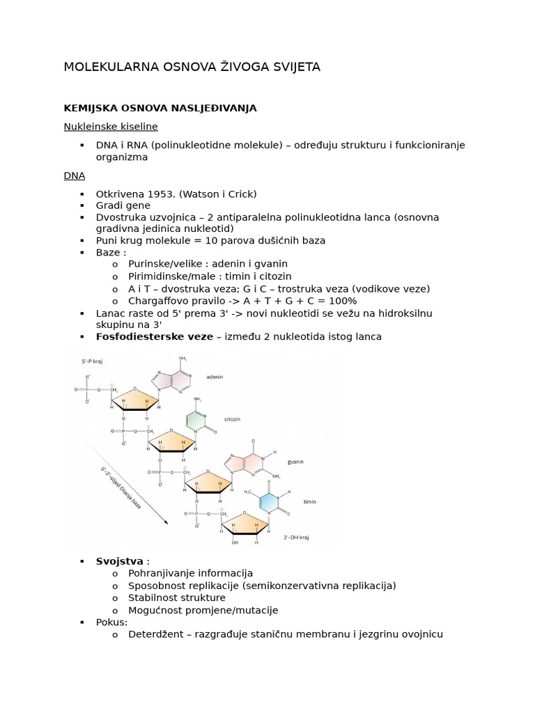 Bio 1. Ispit | PDF