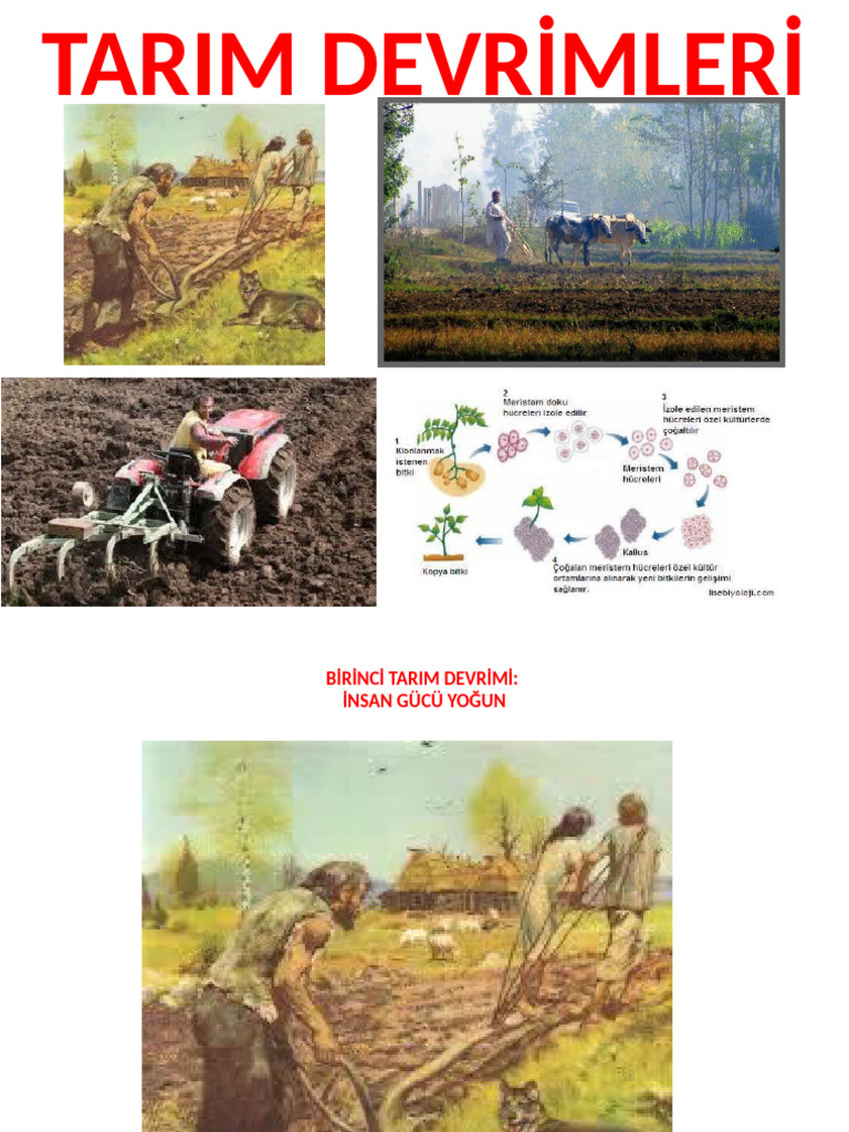 Gbec - Tarim - 2 - Tarim Devri̇mleri̇ | PDF