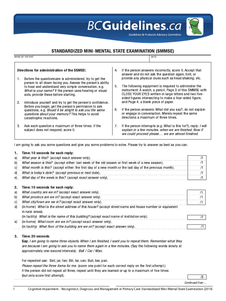 Standardized Mini-Mental State Examination (Smmse) 1 | PDF