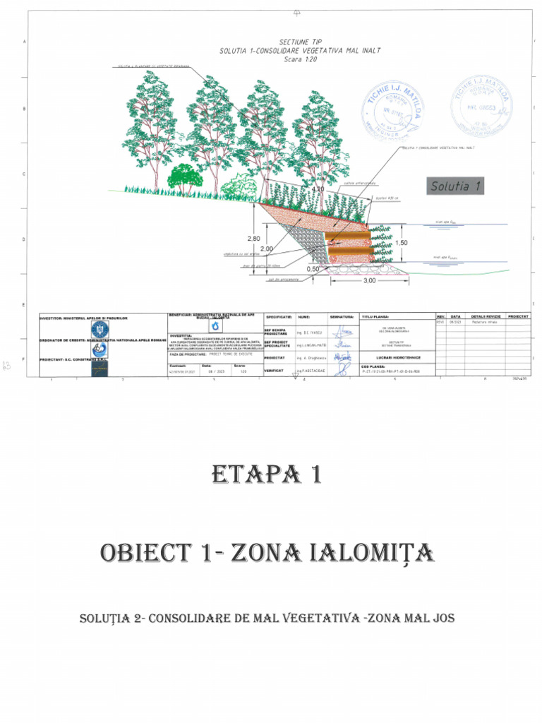 Sol.1 - Sectiune Tip | PDF
