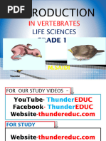 G12 LFSC (QP) DNA Code of Life Topic Test | PDF | Dna | Rna